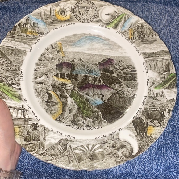 Johnson Brothers | Wall Decor | Johnson Brothers The Arizona Plate ...